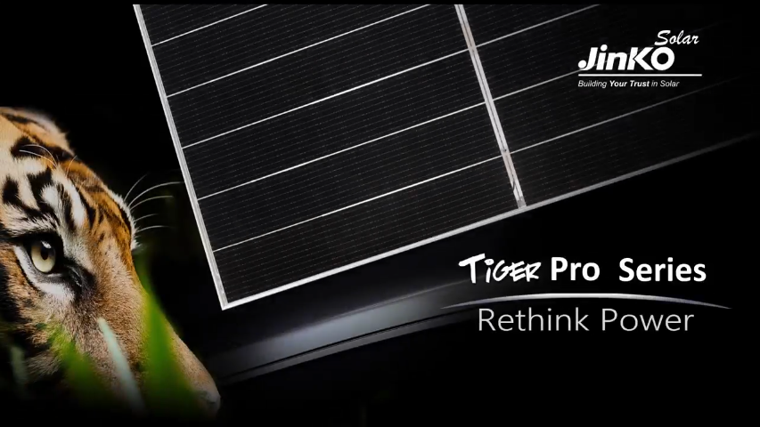 JinkoSolar Launches 2020 Flagship Tiger Pro Series with Module Output ...