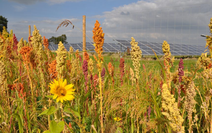 Lightsource bp Signs Power Contract With Amazon for a New 375 Megawatt ...