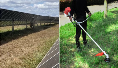 Watch Out! Damage of PV Module May Cause by Improper Weeding Method ...