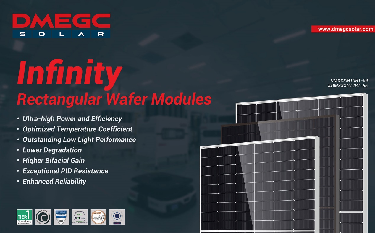 Infinite Power, Infinite Future, DMEGC Solar Named its N-type Modules ...