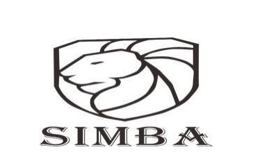 1 Billion Yuan! Simba to Add PV Glass Capacity in Jiangsu Province of ...
