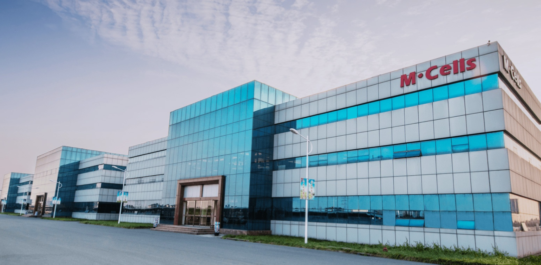 7GW! N-type TOPCon Cell Factory Launched by M-Cell – PVTIME